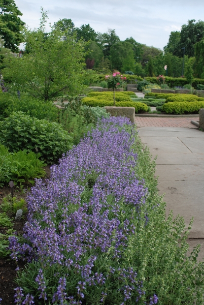 Medicinal Garden - Western Reserve Herb Society