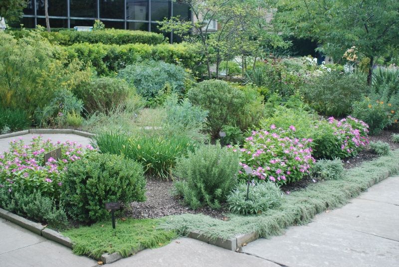 Medicinal Garden - Western Reserve Herb Society